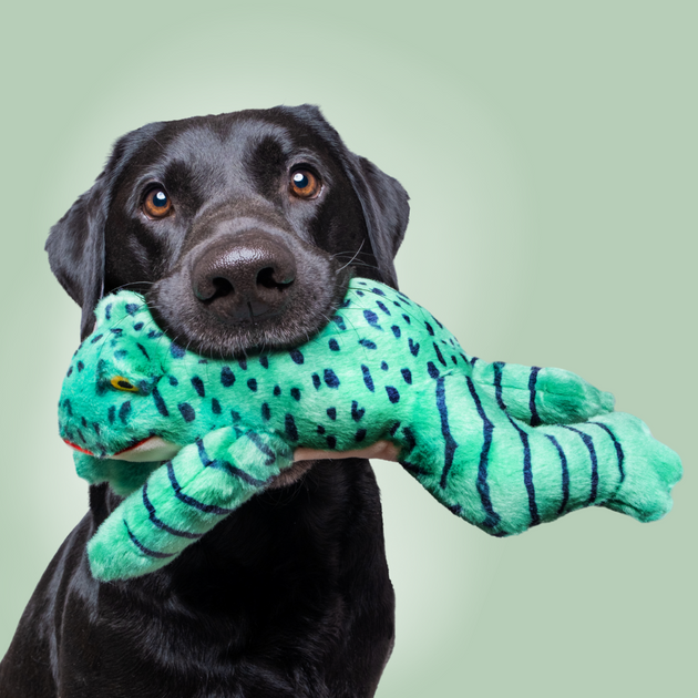Fluff & Tuff Oliver Frog | Abel Pet Supply
